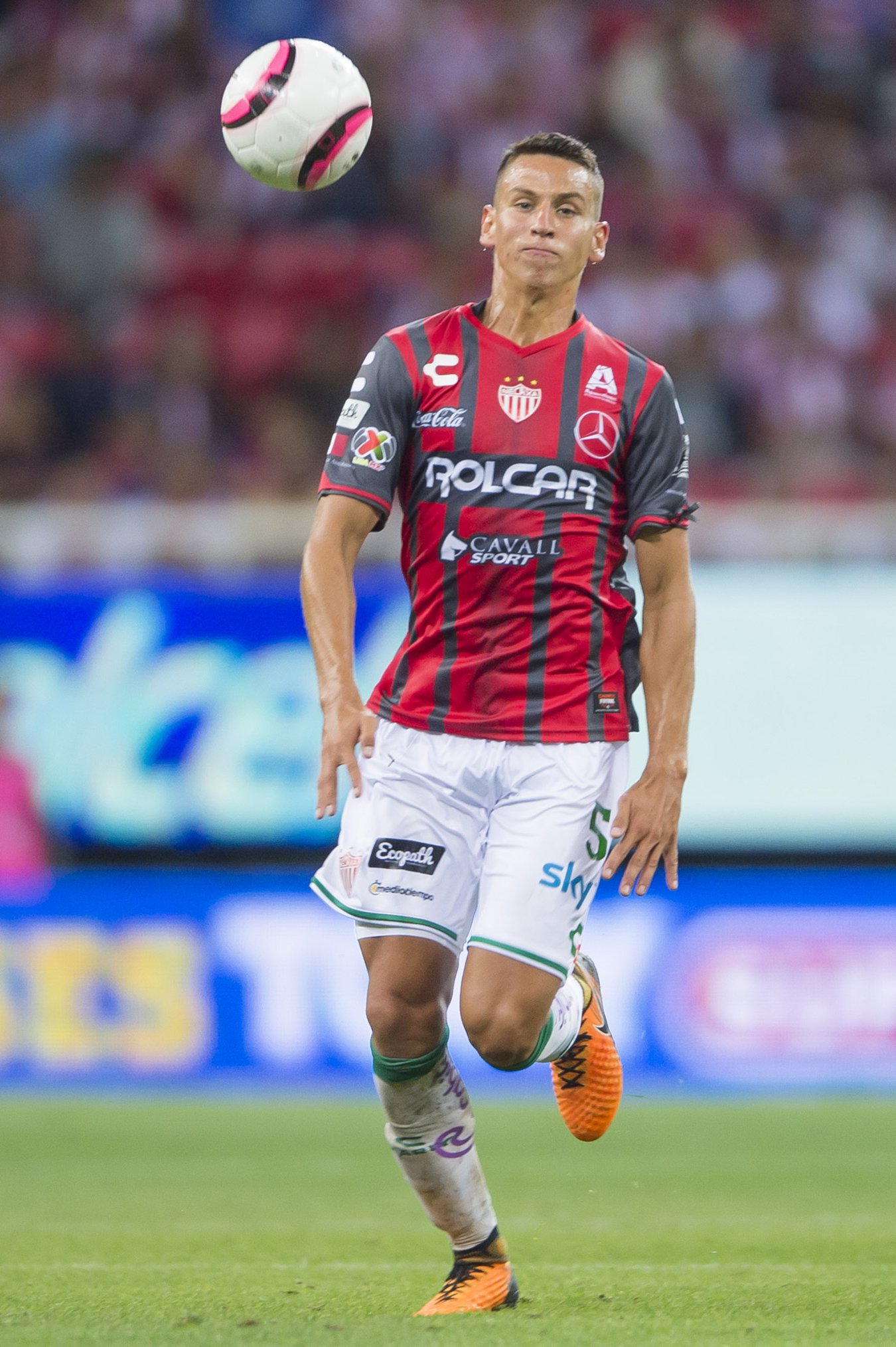 Liga MX: Las 7 cosas que debes saber sobre Necaxa rumbo al Clausura ...